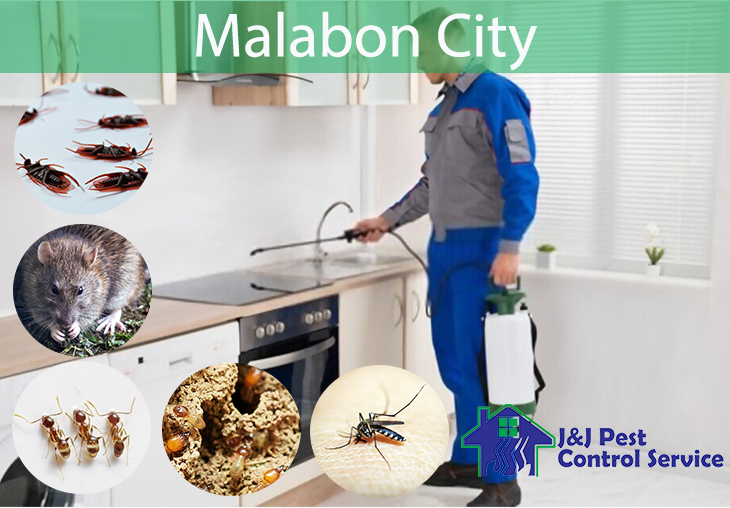 Pest Control Services Malabon City MM - John and Jacob Pest Control ...