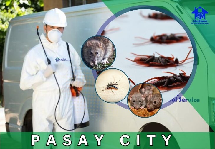 Pest Control Services Pasay City MM - John and Jacob Pest Control Services